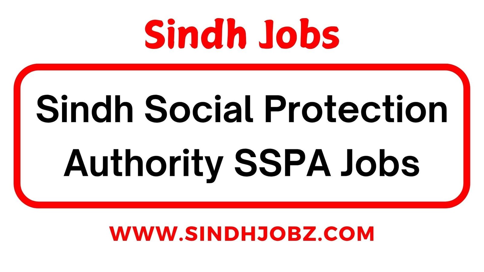 Sindh Social Protection Authority SSPA Jobs